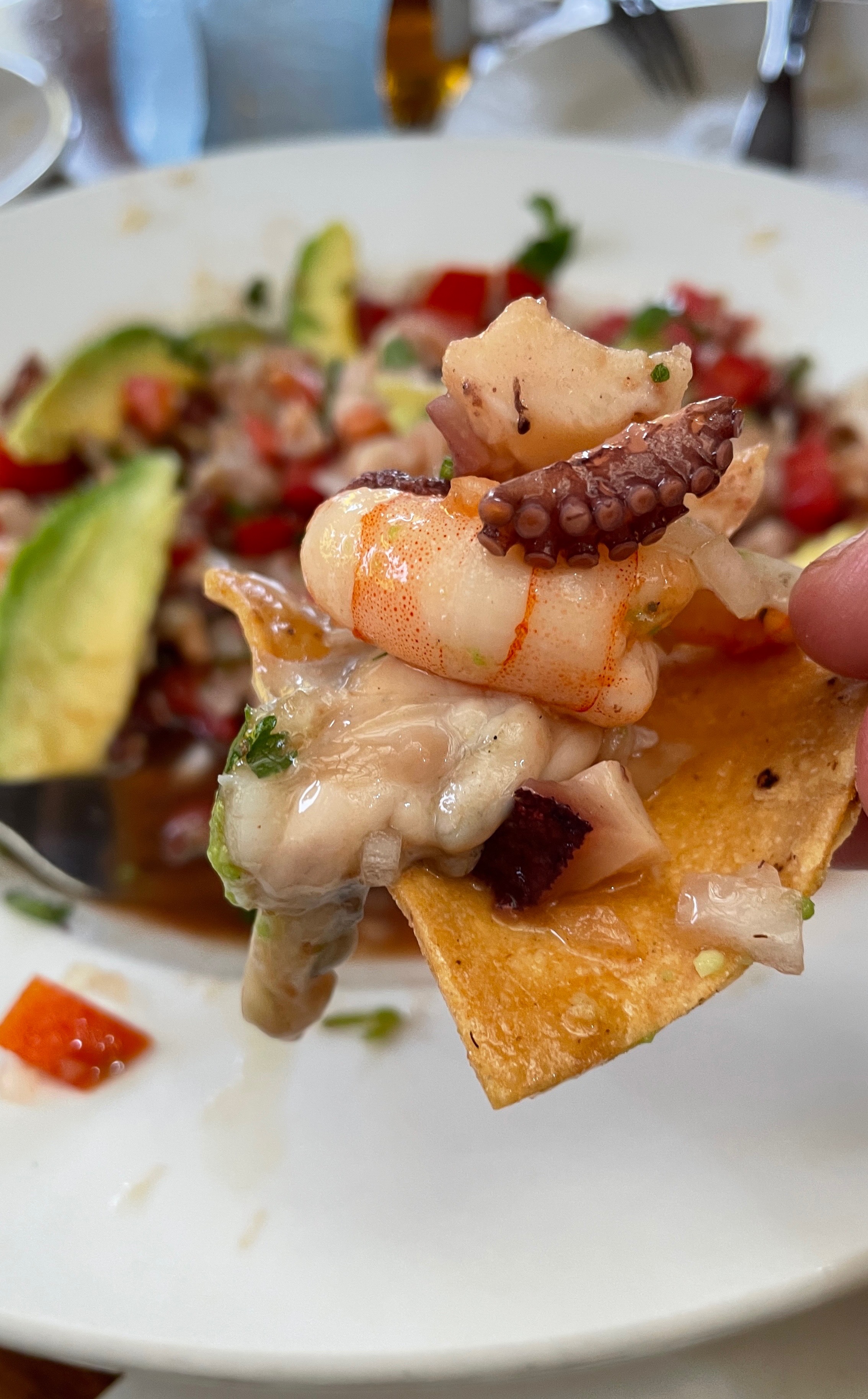 7 Must Experience Food Tours In Cancun | Travel Hiatus
