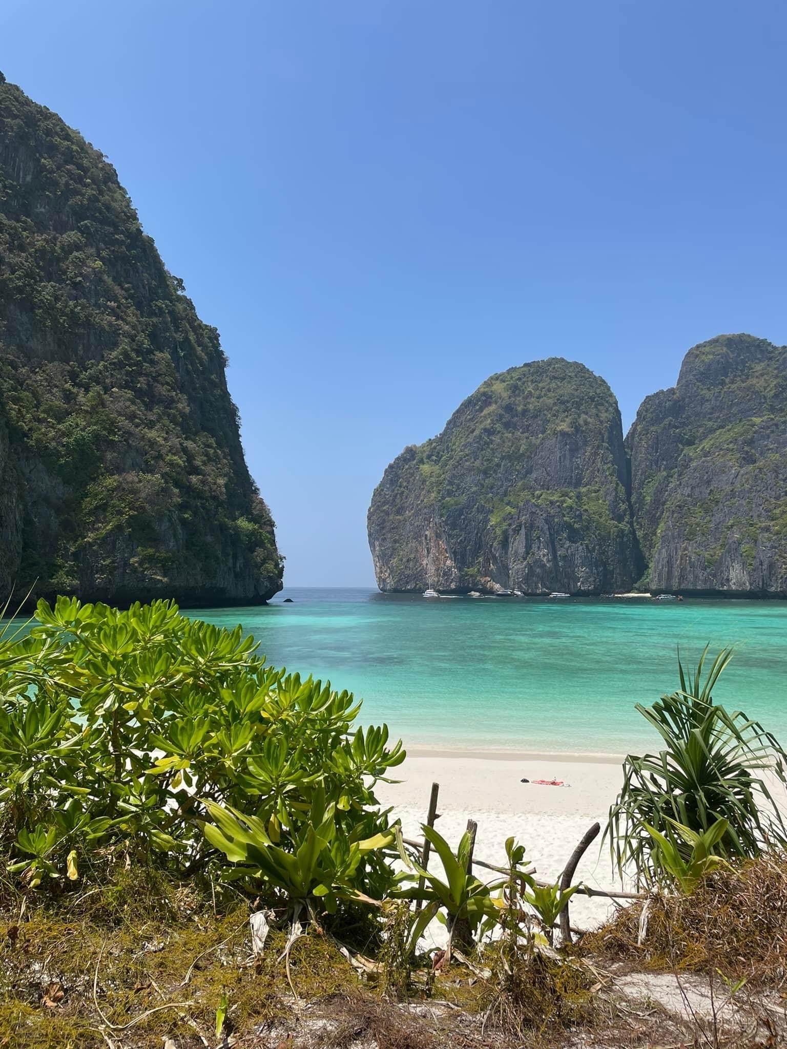 How To Get To Maya Bay, Phi Phi Islands | Travel Hiatus