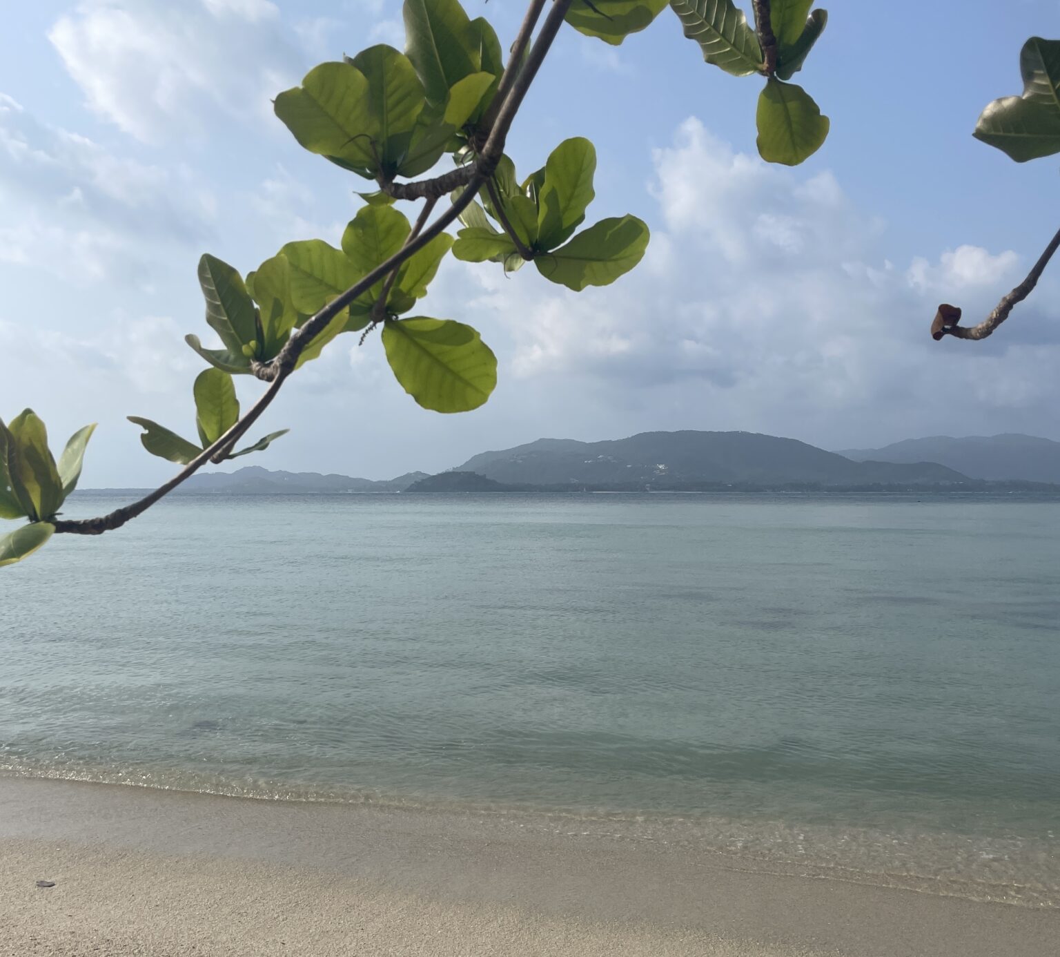 9 Koh Samui Day Tours You Can’t Miss | Travel Hiatus