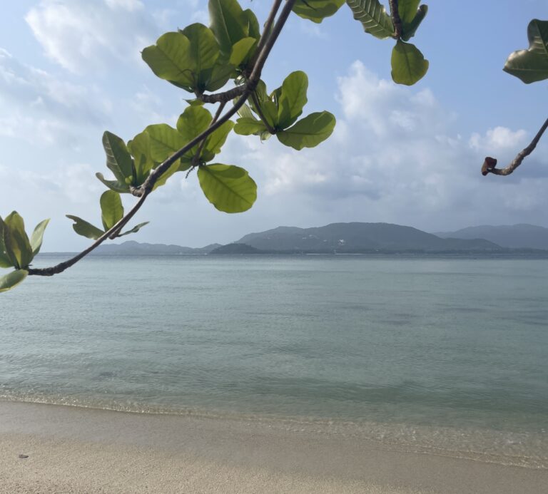 9 Koh Samui Day Tours You Can’t Miss | Travel Hiatus
