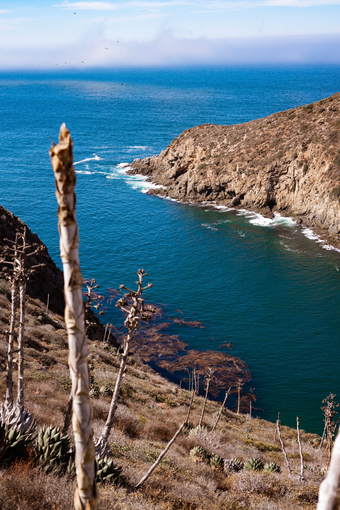 7 Best Things To Do In Ensenada, Mexico | Travel Hiatus