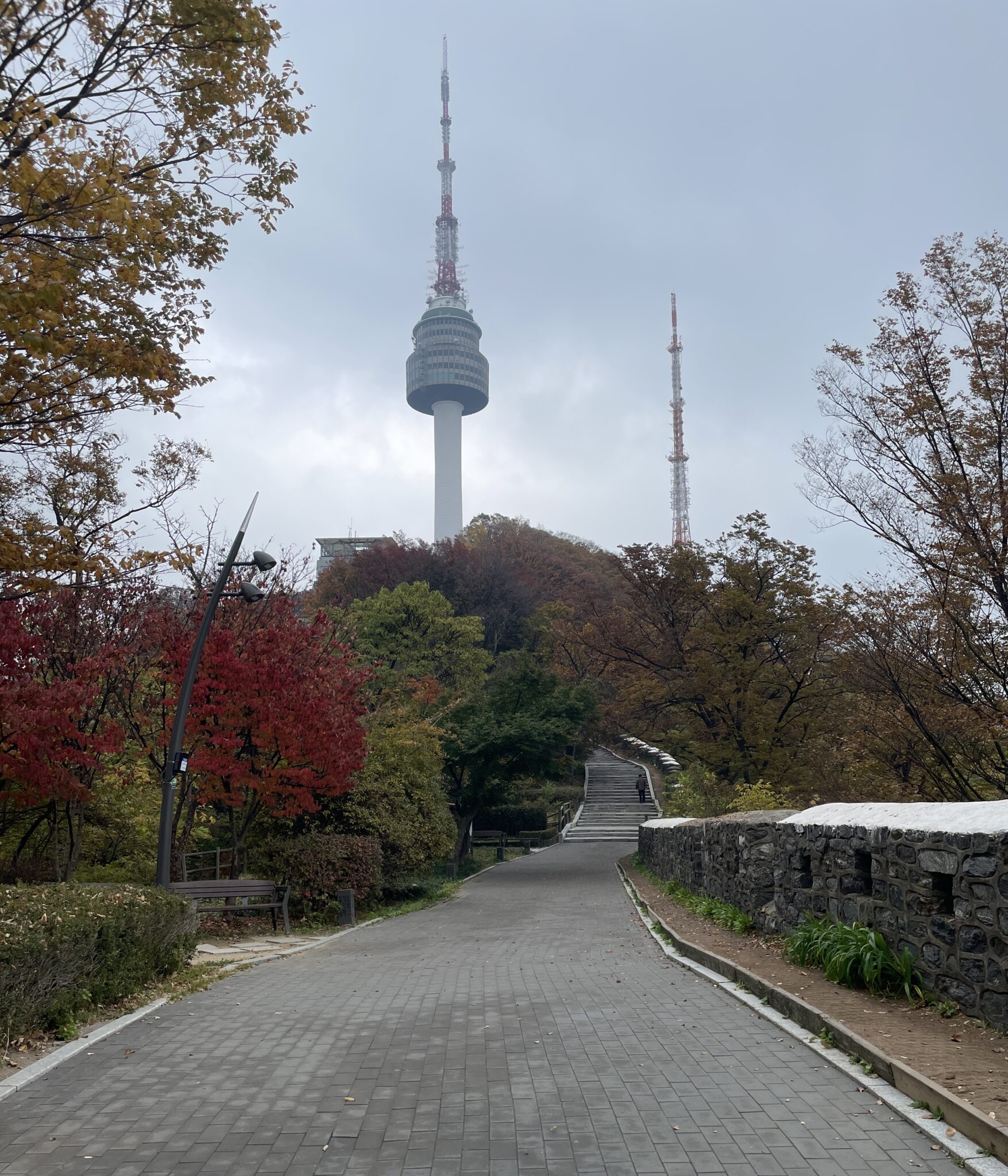 Hongdae Or Myeongdong: Which Area Is Better? | Travel Hiatus