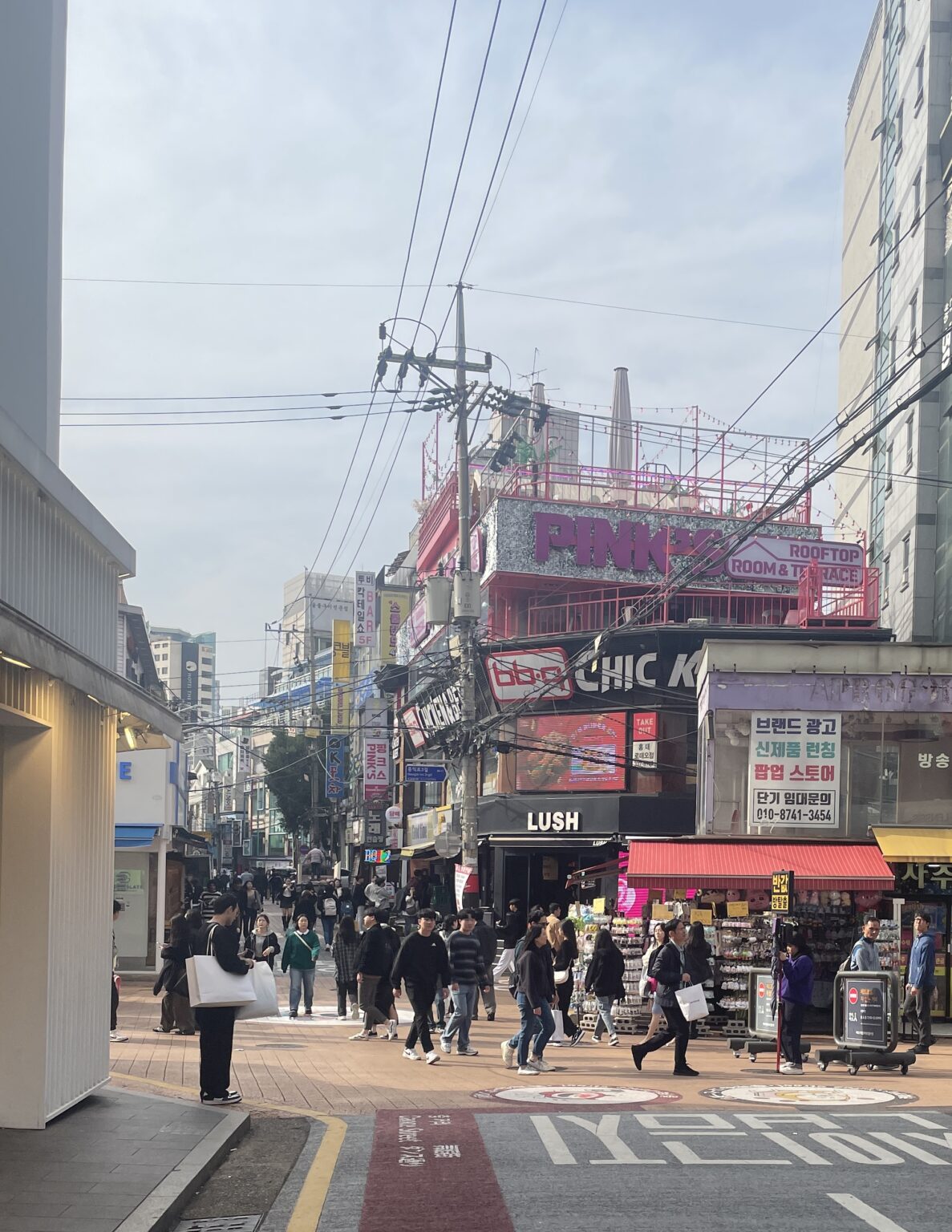 Hongdae Or Myeongdong: Which Area Is Better? | Travel Hiatus