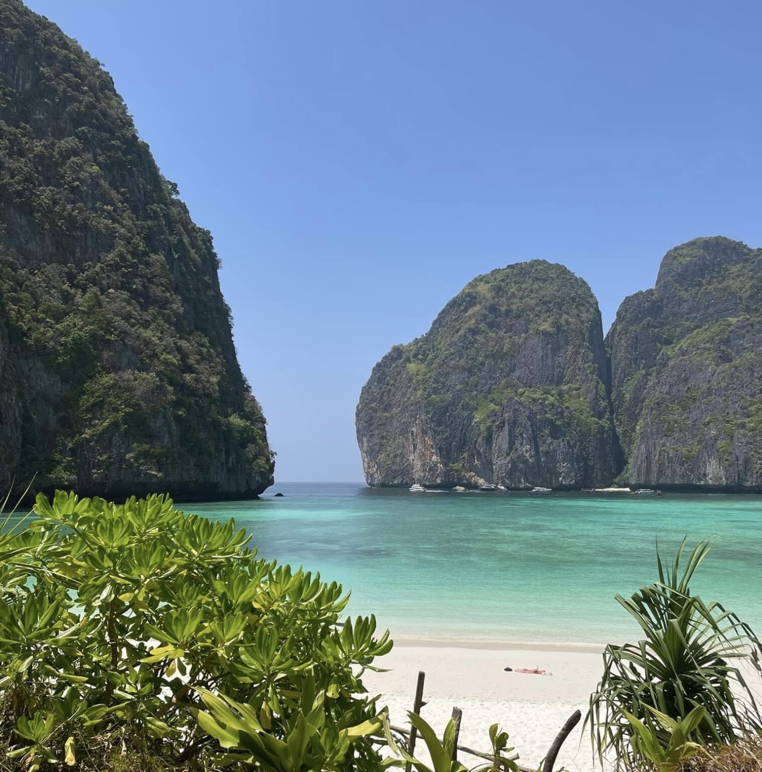 How To Get From Phuket To Maya Bay Beach | Travel Hiatus