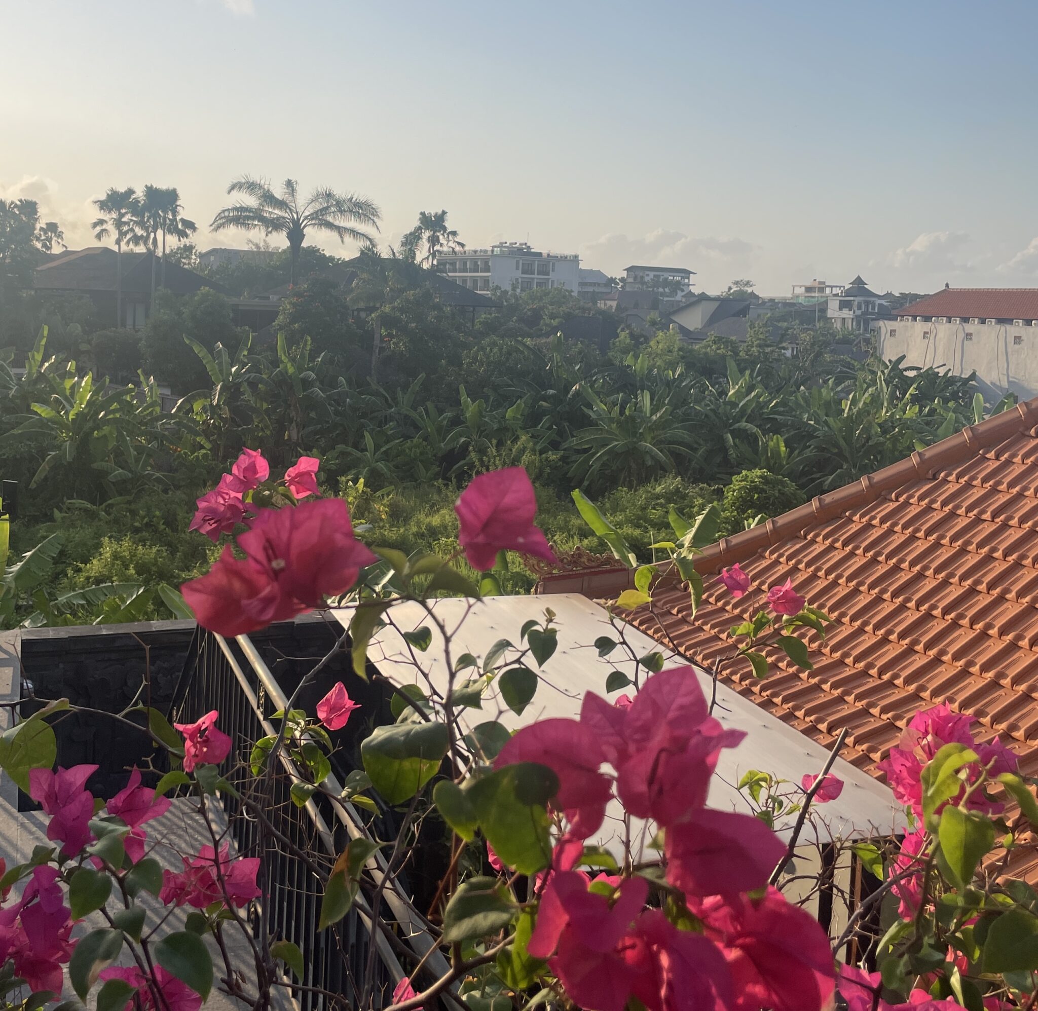 Is Bali Worth Visiting? 5 Honest Pros & Cons | Travel Hiatus