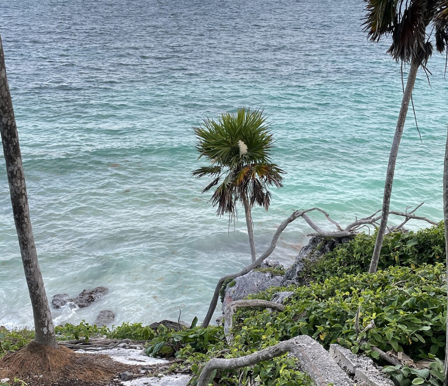 Best Time To Visit Tulum: Month-by-Month Guide | Travel Hiatus